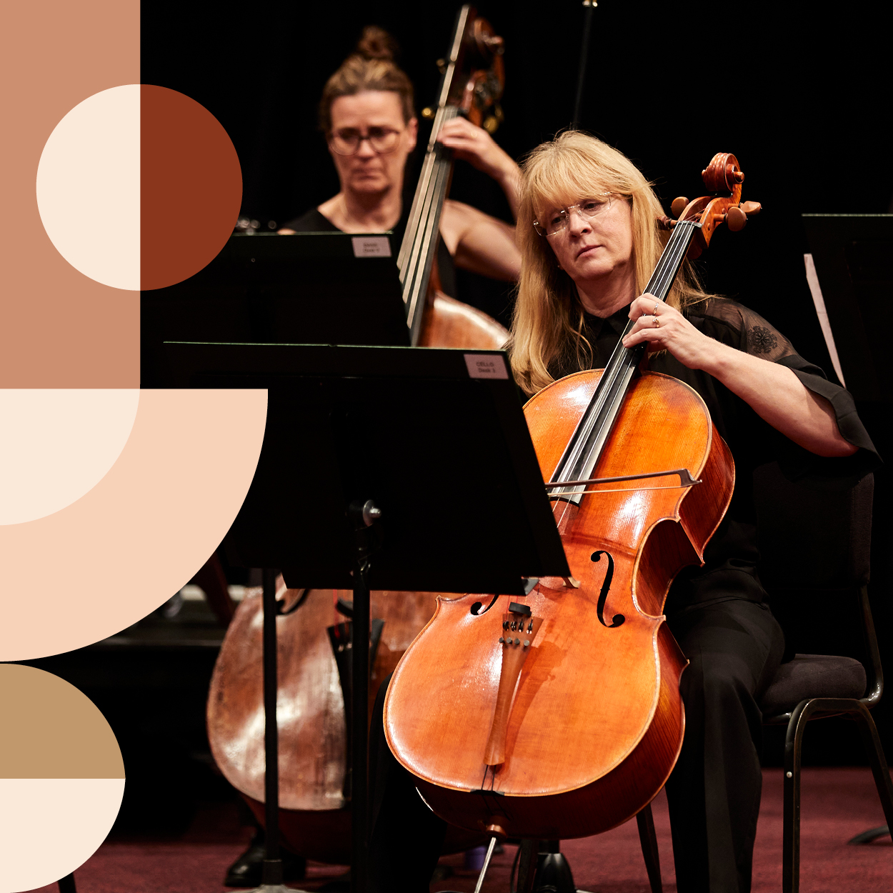 Meditation Virtual Concert Series: Compassion - Adelaide Symphony Orchestra