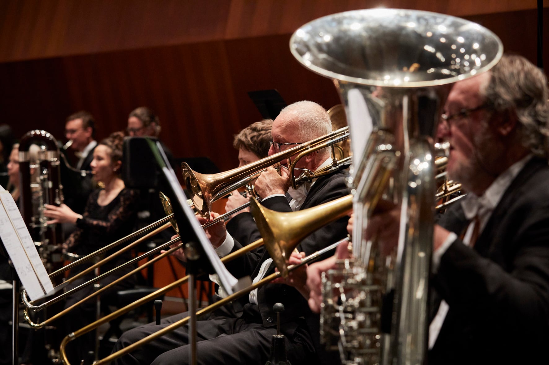 Employment - Adelaide Symphony Orchestra