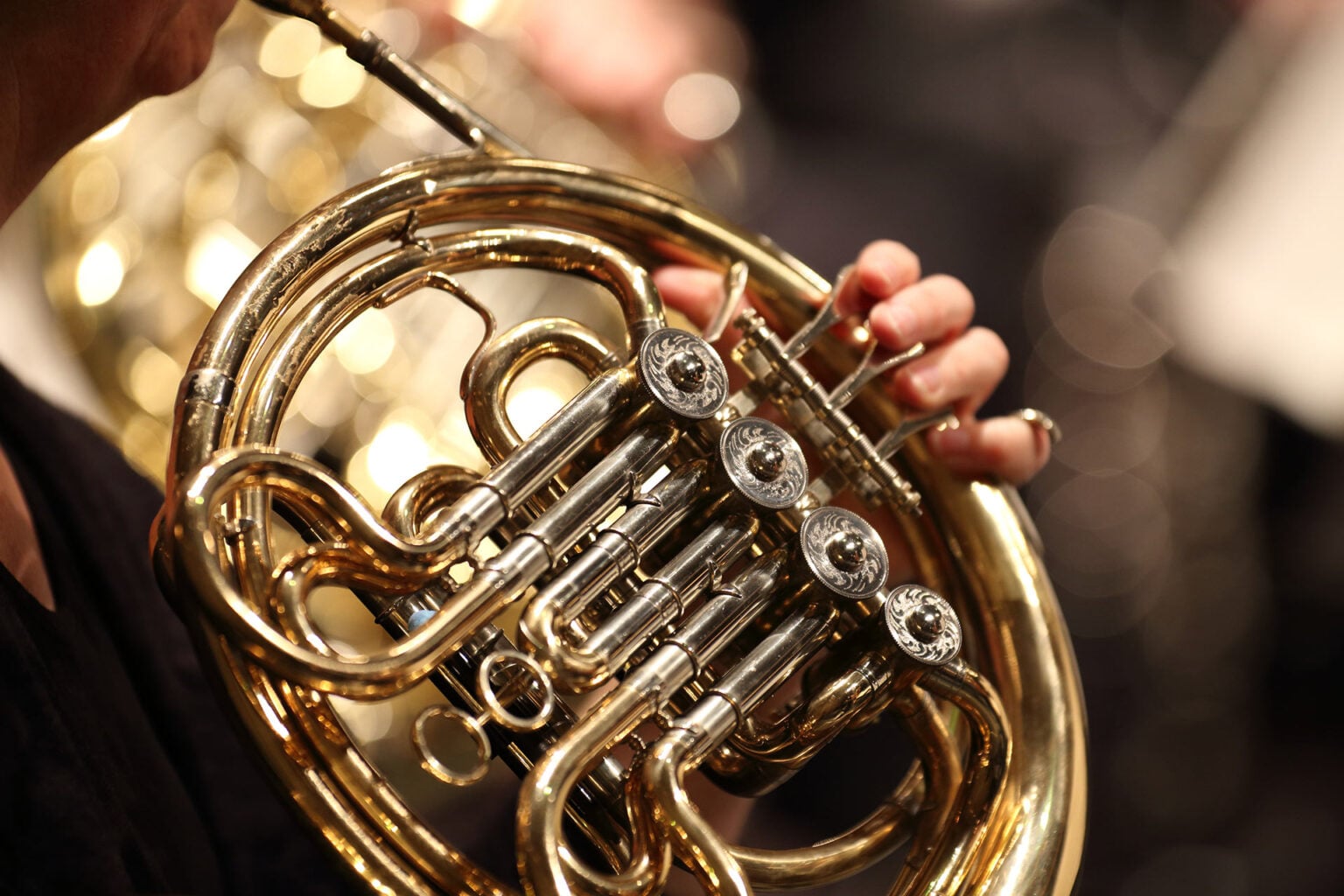 Friends of the ASO - Adelaide Symphony Orchestra