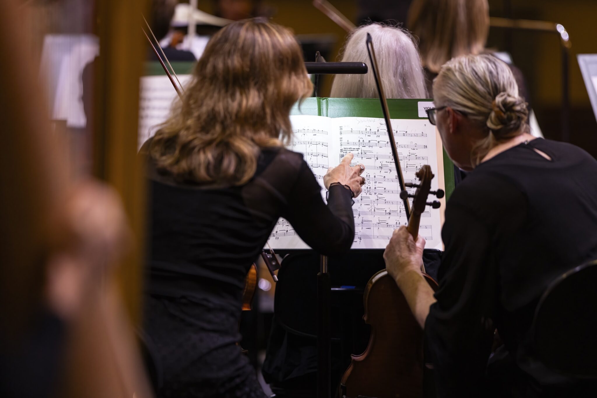 Work Experience - Adelaide Symphony Orchestra