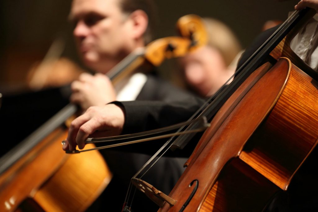 Board, Management & Staff - Adelaide Symphony Orchestra